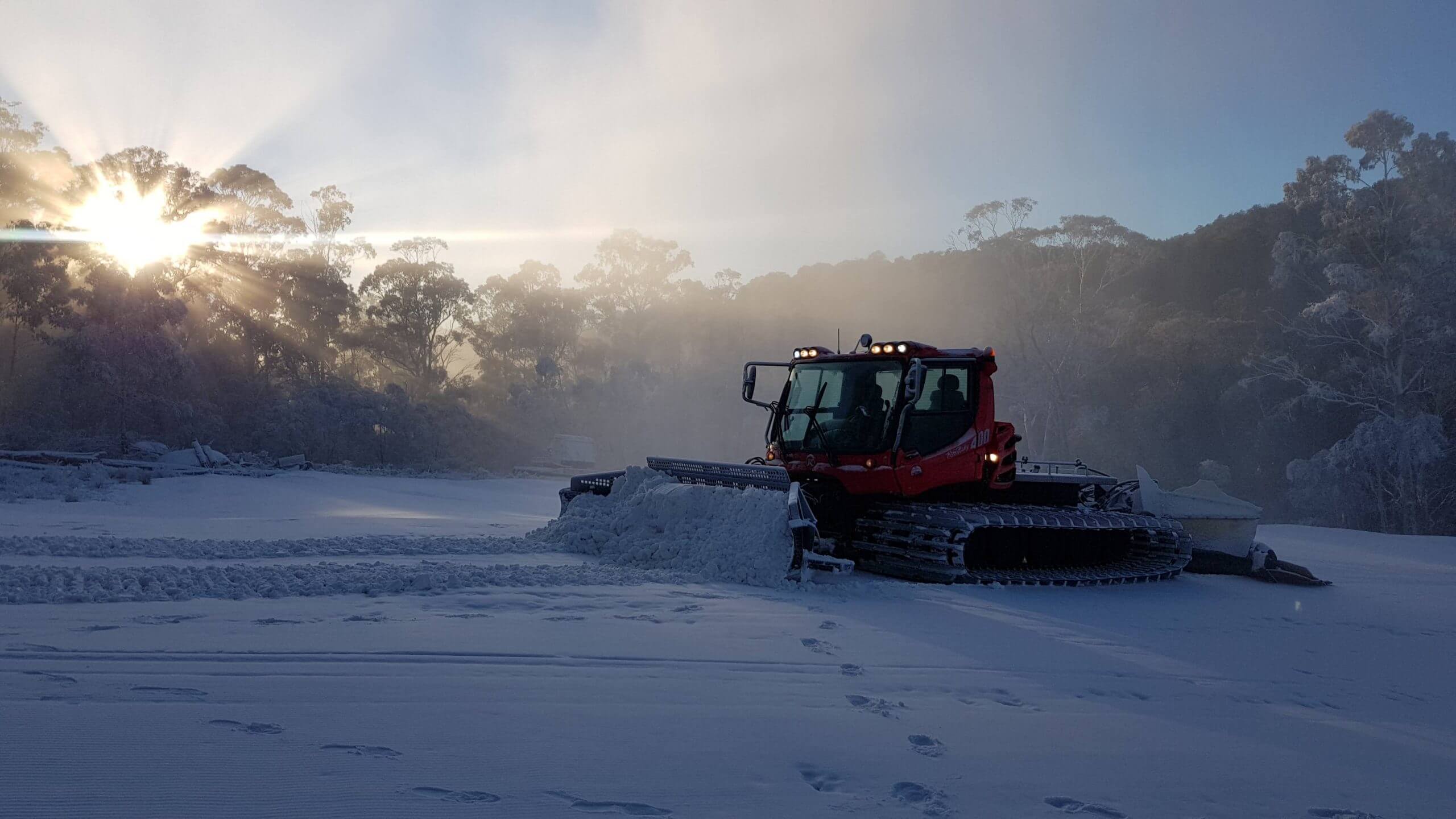 how we make snow – Corin Forest