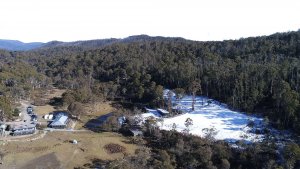 Corin Forest - All Seasons Alpine Adventure