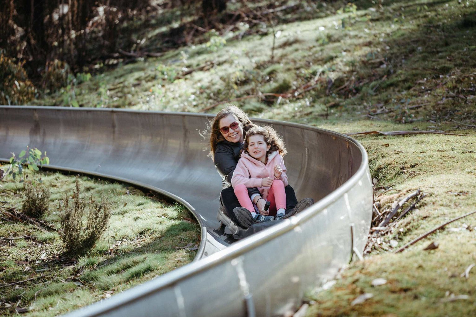 ALPINE SLIDE - Corin Forest