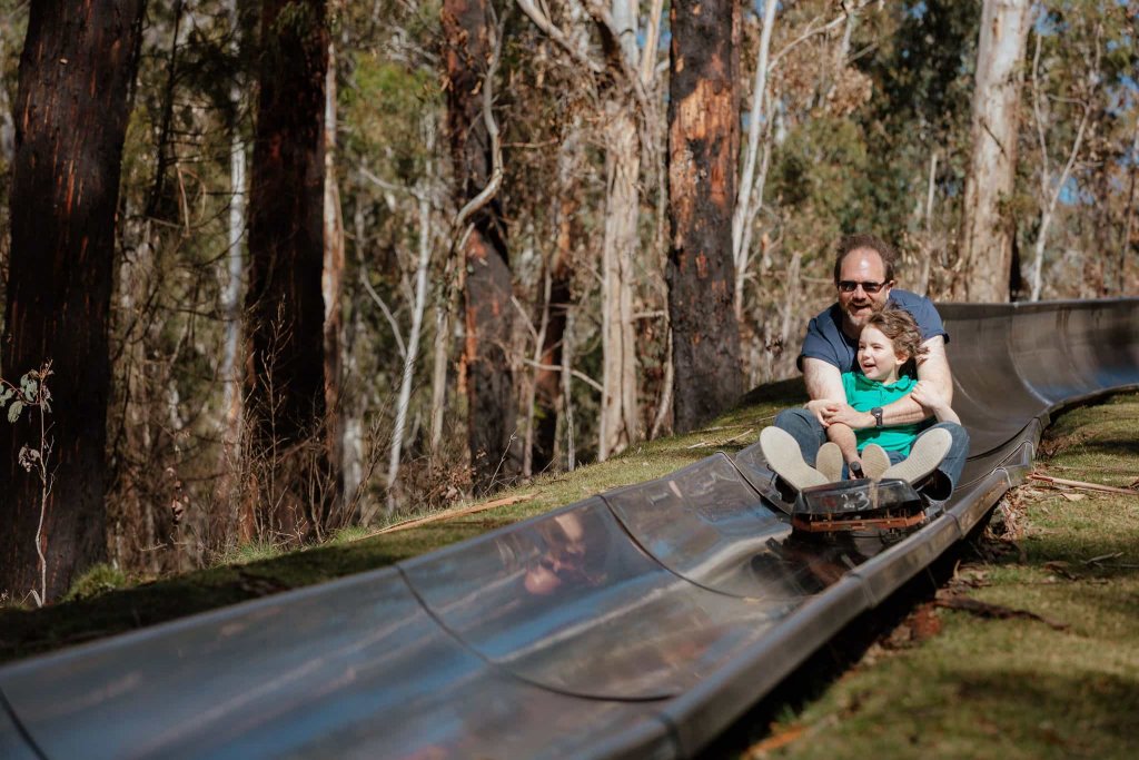 ALPINE SLIDE - Corin Forest