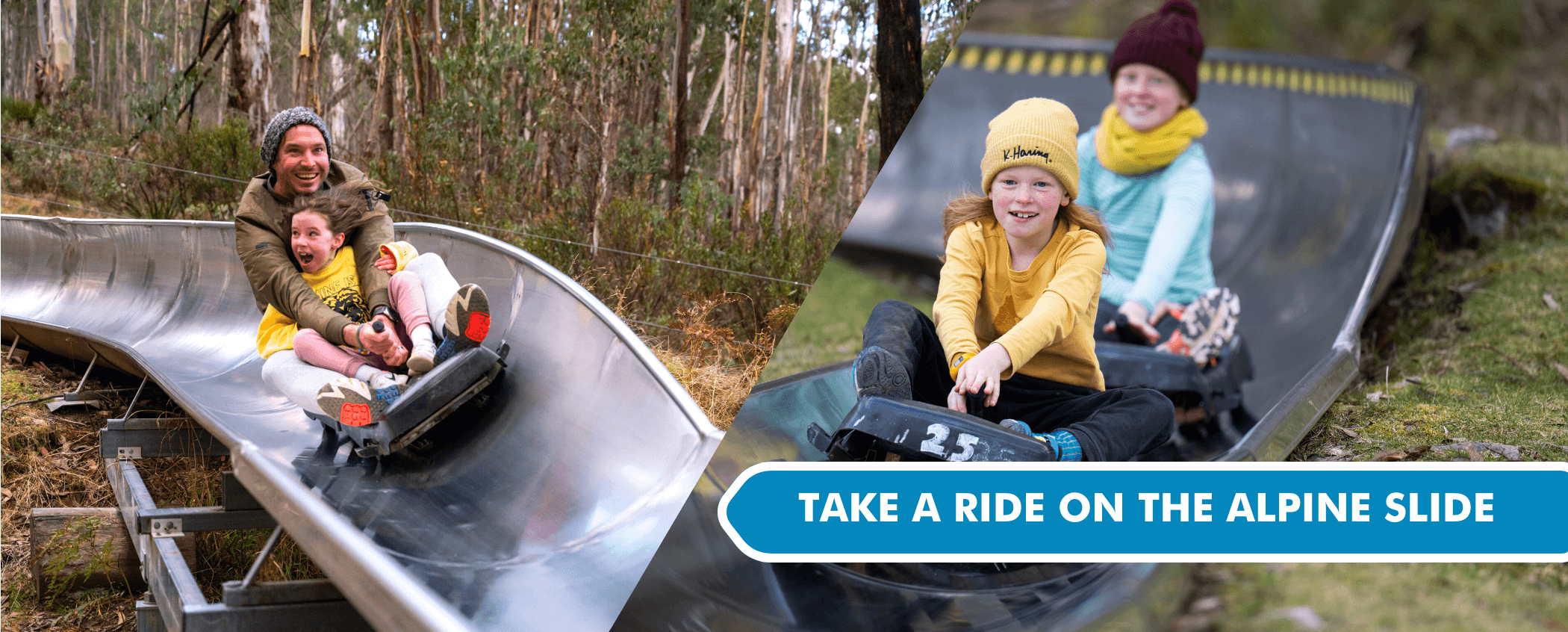 Corin Forest - Official website of Corin Forest Mountain Resort