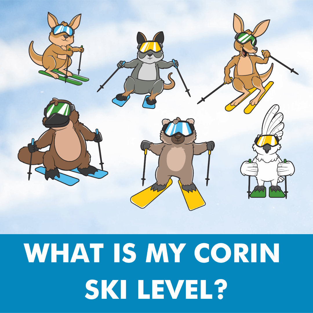 LESSONS - Corin Forest
