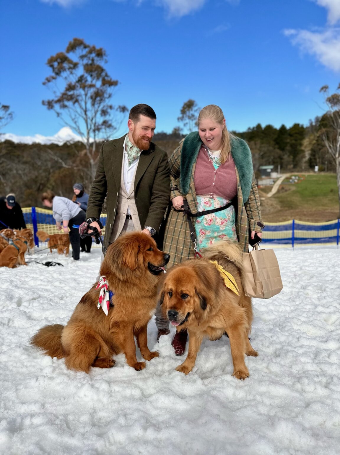 EVENTS - Corin Forest